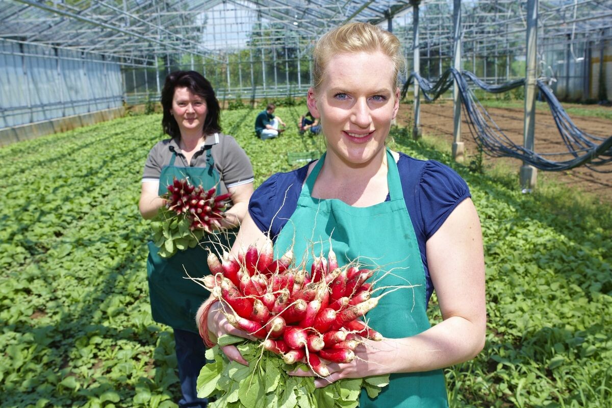 Für eine klischeefreie Wahl der Ausbildung - Gemüse Online